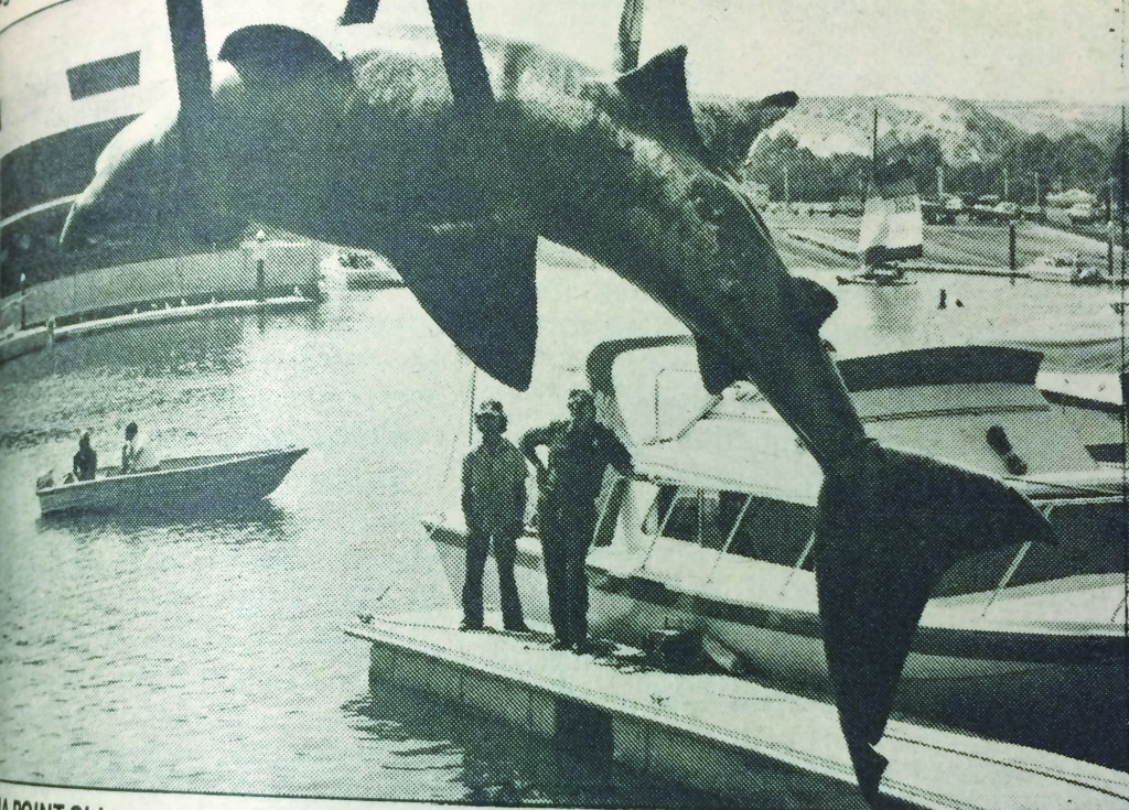 1978: Basking shark found in Dana Point | The Log