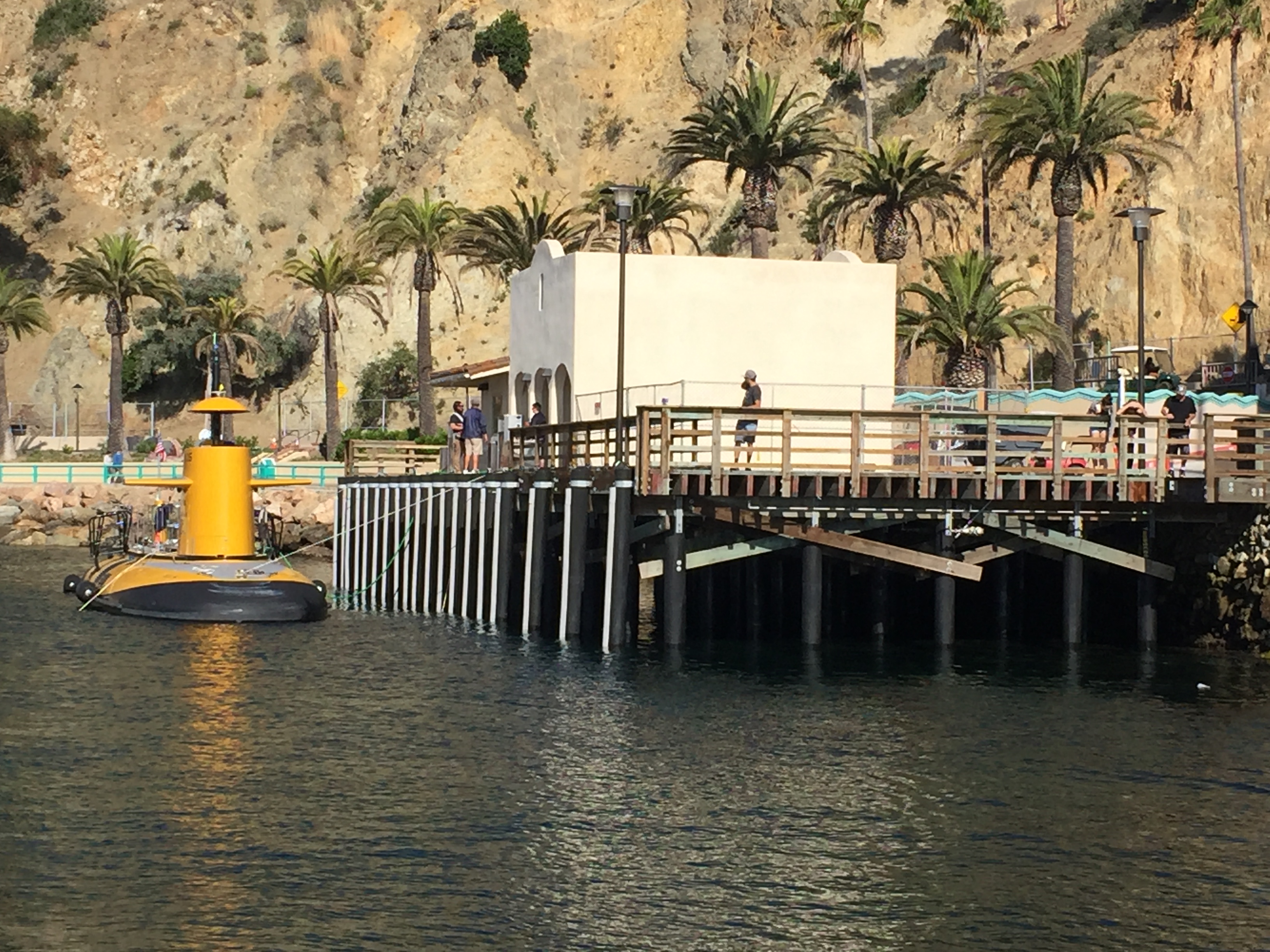 Avalon pier is open but the dinghy and fuel docks are still a work in ...
