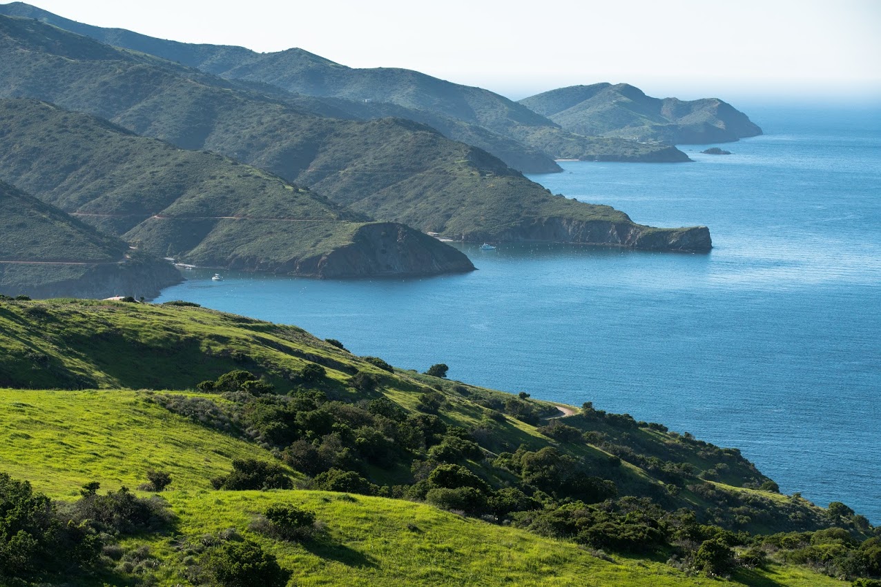 Catalina Conservancy celebrates 45th anniversary | The Log