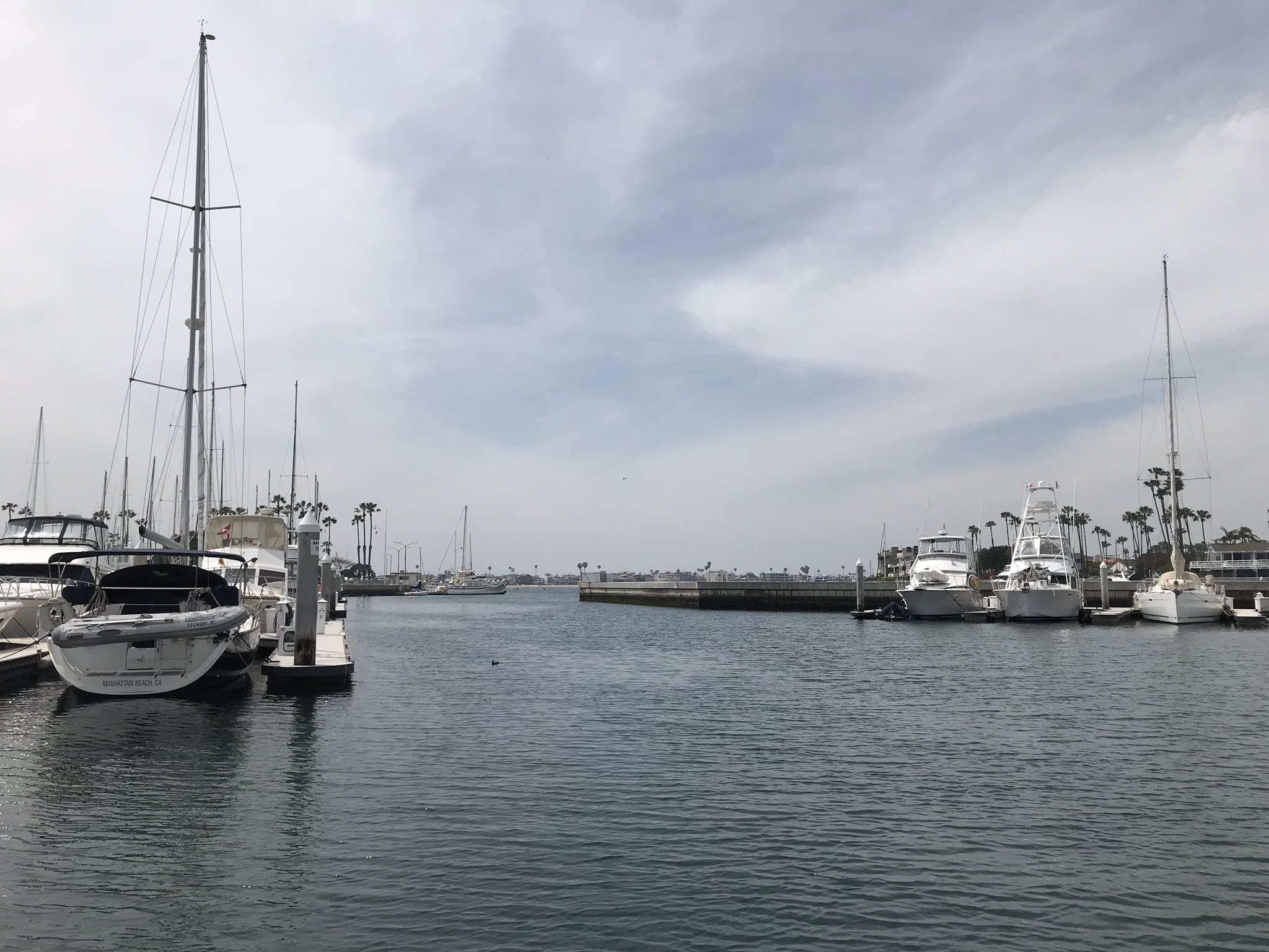 Long Beach developing climate change action and adaptation plan | The Log