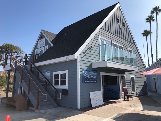 Oceanside Sea Center finishes renovation, offers an ‘ocean experience ...