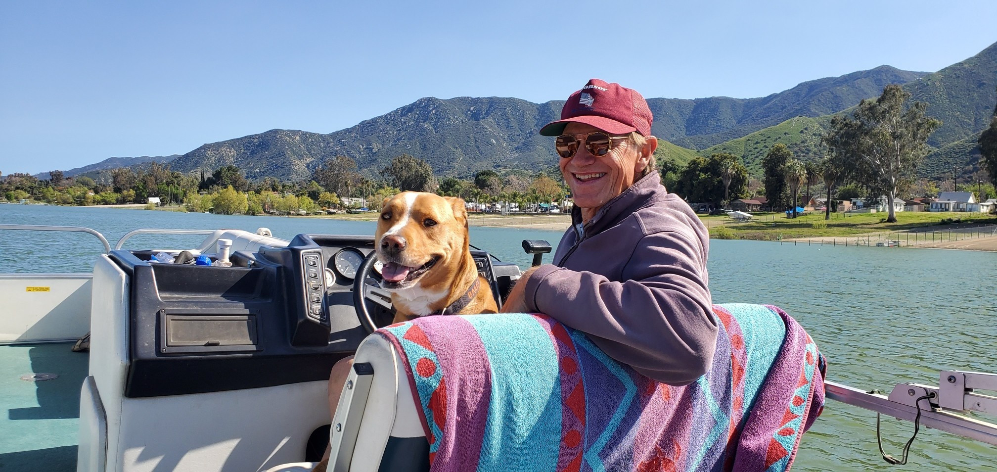 The Log welcomes these dogs aboard! | The Log