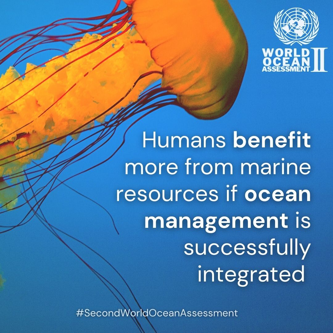 United Nations Releases Second World Ocean Assessment | The Log