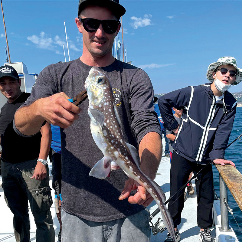 Featured Catch: Spotted on the Rocks | The Log
