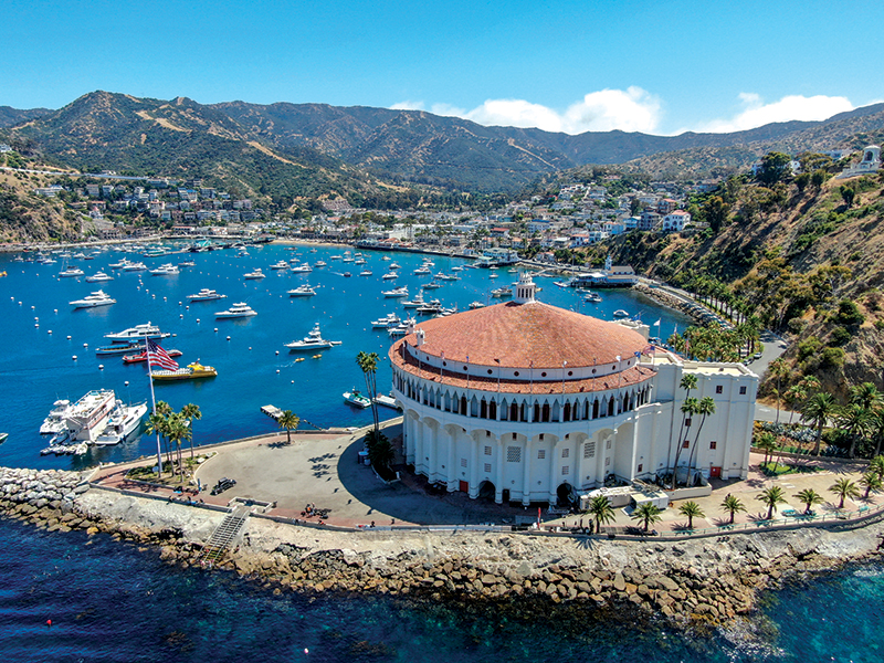 Catalina Connection: Tenth Annual Catalina Spring Art Fair and Craft ...