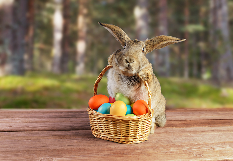 Fast Facts and Easter Traditions | The Log