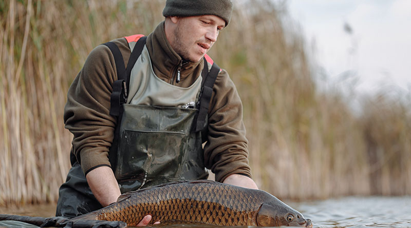 Keep Fish Wet Advocates for Ethical Catch and Release Practices | The Log